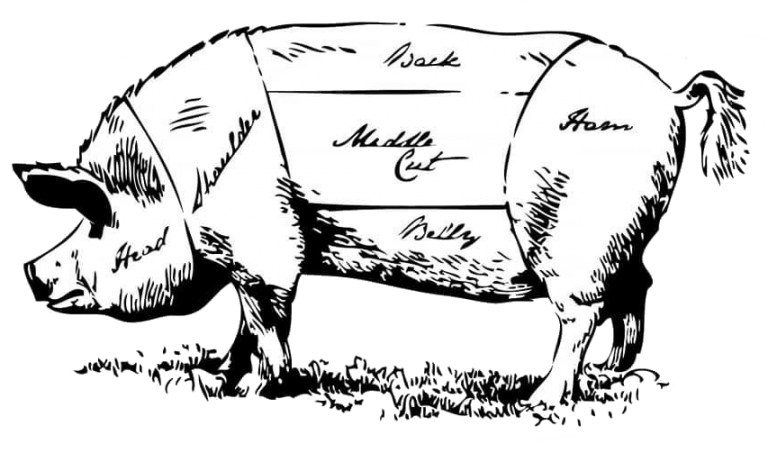 NEON PIG